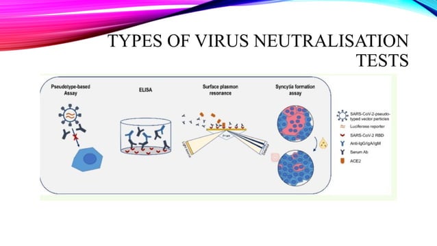 Virus neutralization test.pptx types and applications | PPTX