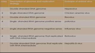 Virus nomenclature classification and properties | PPTX