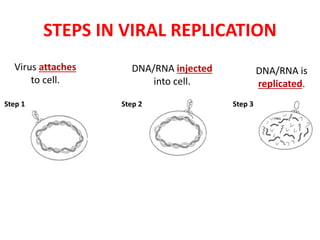 Virus | PPTX