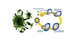 Virus packaging | PDF