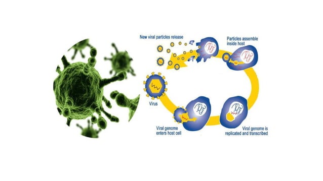Virus packaging | PDF