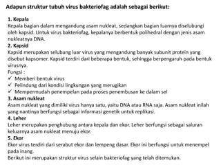 Virus pendalaman materi | PPTX