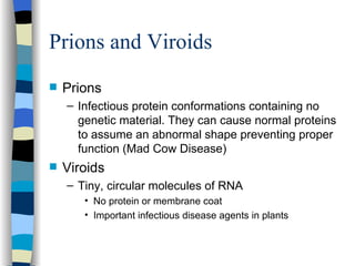 Virus Power Point | PPT