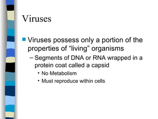 Virus Power Point | PPT