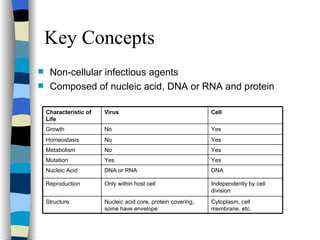 Virus Power Point | PPT