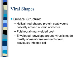Virus Power Point | PPT