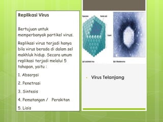 Virus ppt | PPTX