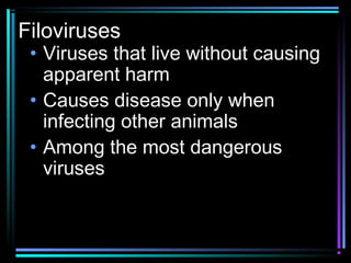 Virusppt | PPT | Infectious Diseases | Diseases and Conditions