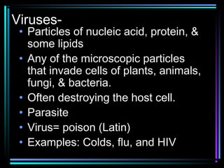 Virusppt | PPT | Infectious Diseases | Diseases and Conditions