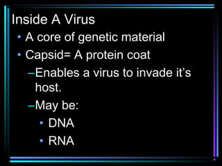 Virusppt | PPT | Infectious Diseases | Diseases and Conditions