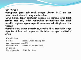 virus ppt.pptx