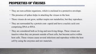 Viruses – Structure, Classification, and Diseases | PPTX