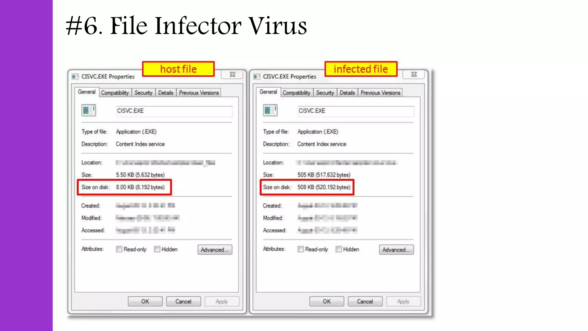 Different Types Of Computer Viruses | PPTX