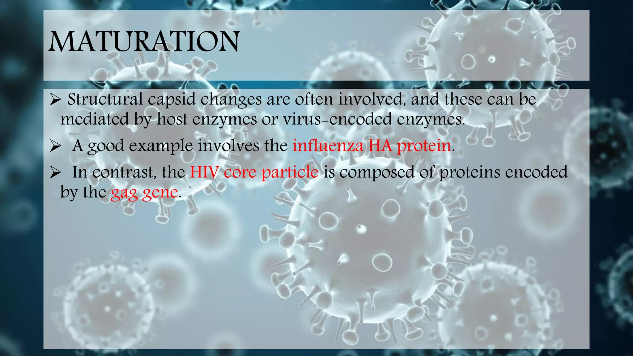 replication of RNA viruses with diagrams | PPTX