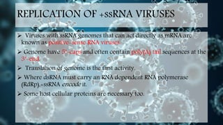 replication of RNA viruses with diagrams | PPTX