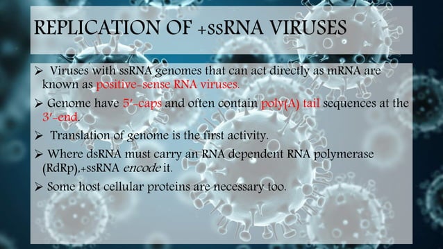 replication of RNA viruses with diagrams | PPTX