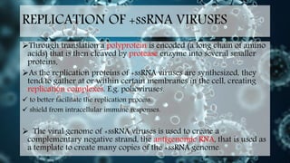 replication of RNA viruses with diagrams | PPTX