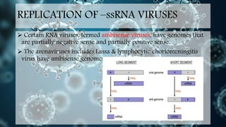 replication of RNA viruses with diagrams | PPTX