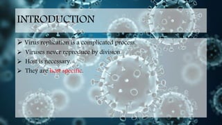 replication of RNA viruses with diagrams | PPTX