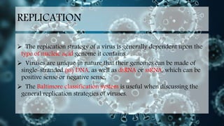 replication of RNA viruses with diagrams | PPTX