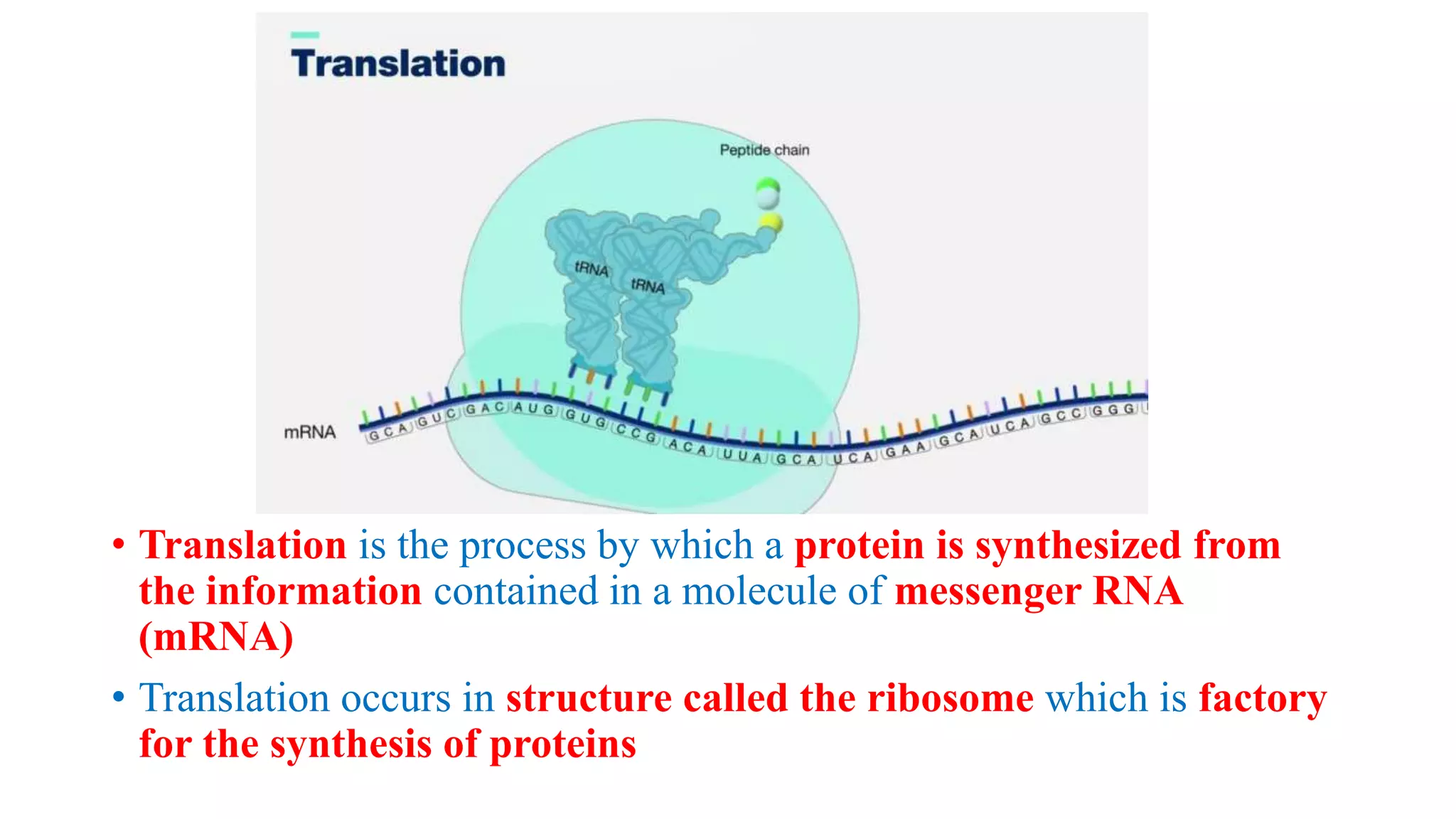 Plant Virus replication.pptx