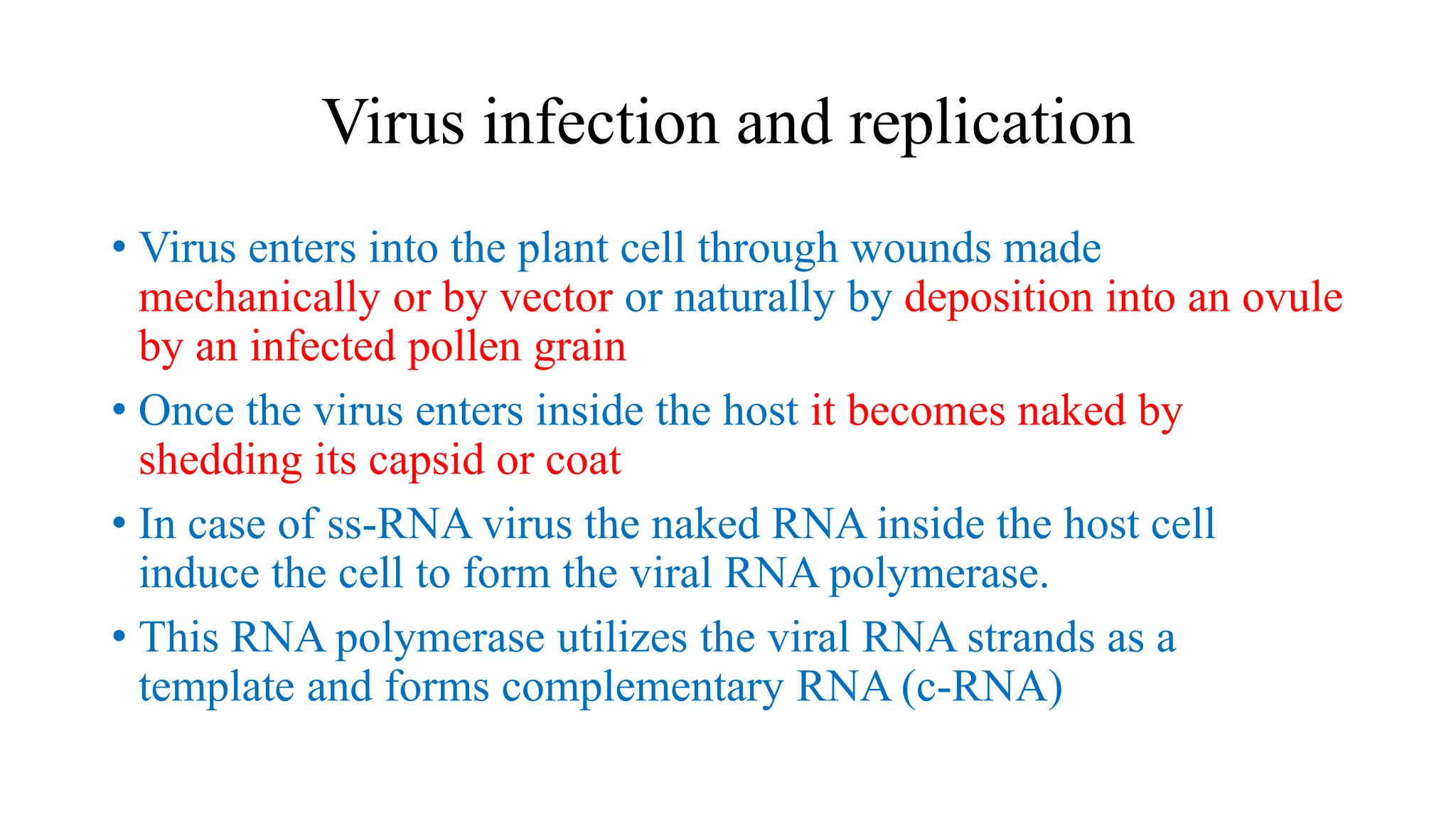 Plant Virus replication.pptx