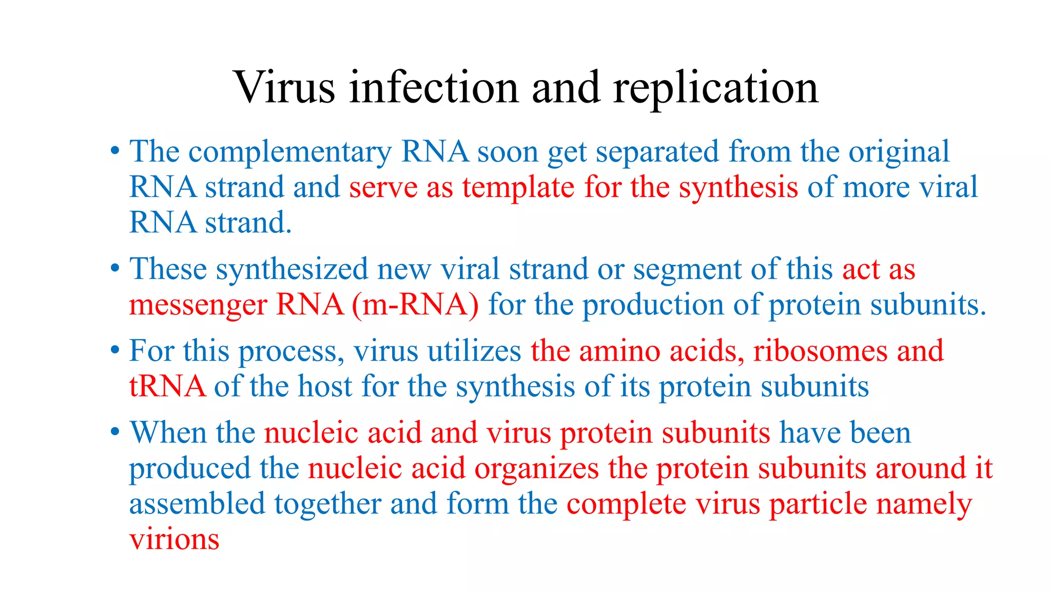 Plant Virus replication.pptx