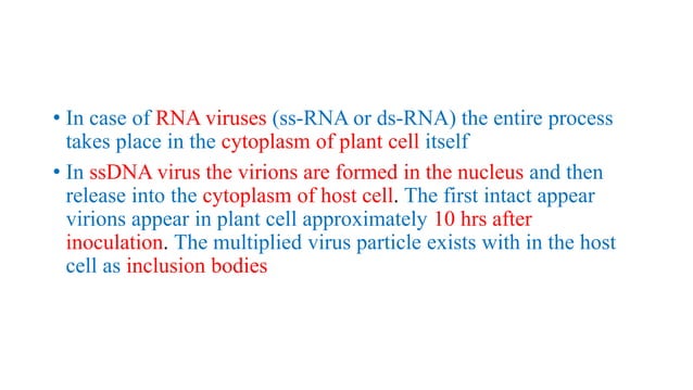 Plant Virus replication.pptx | Biological Sciences | Science