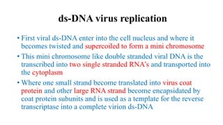 Plant Virus replication.pptx