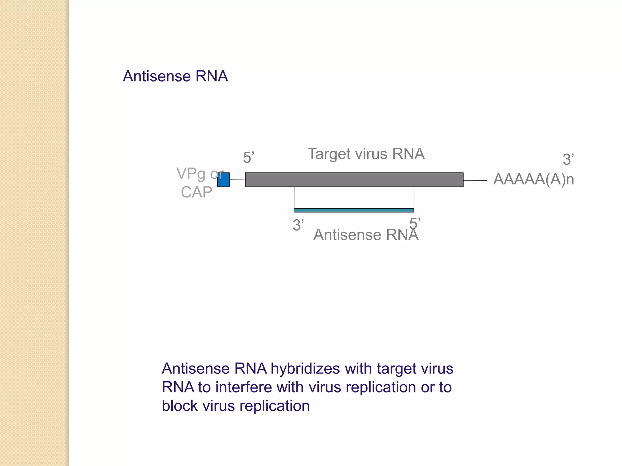 Virus resistance plant, production | PPTX