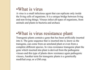 Virus resistance plant, production | PPTX