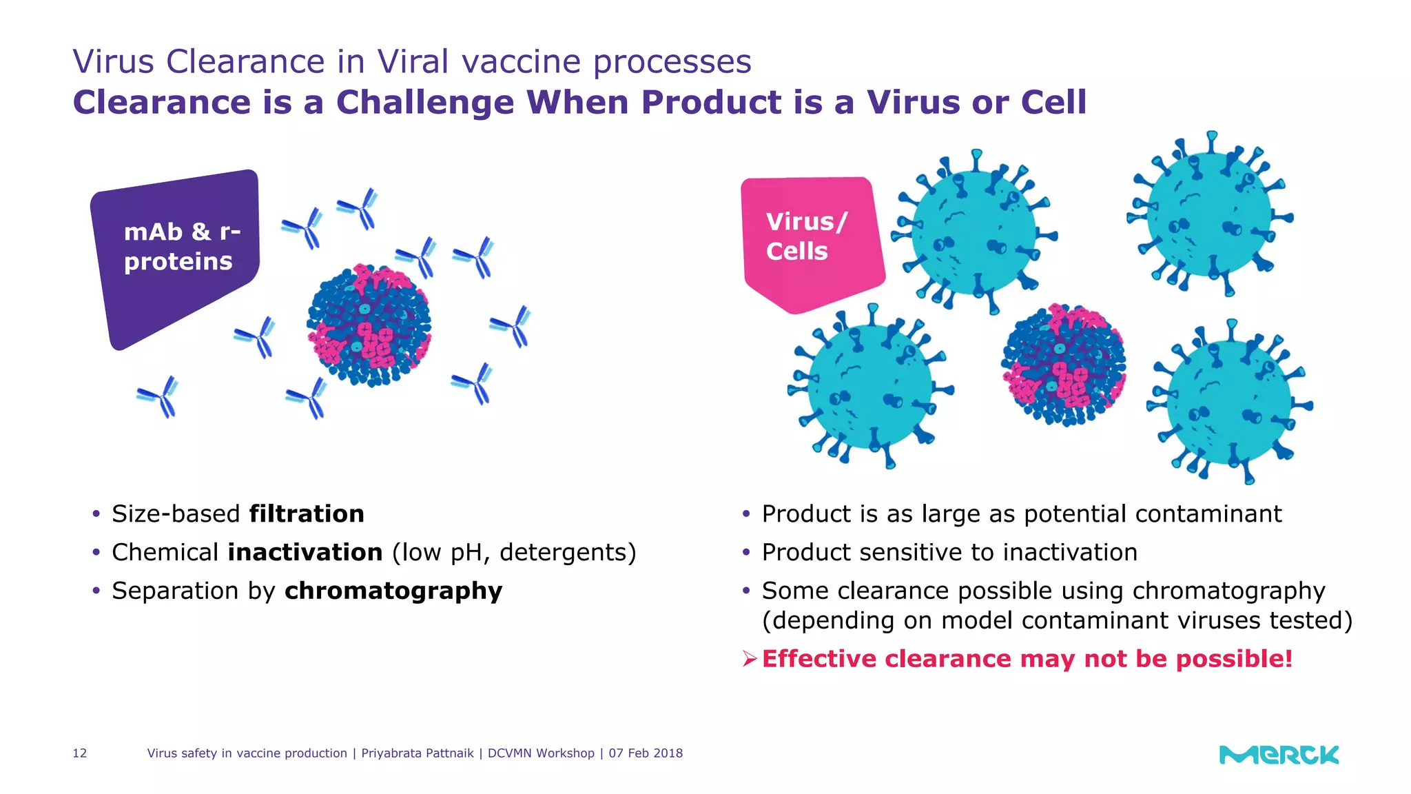 Virus Safety in Vaccine Production | PDF