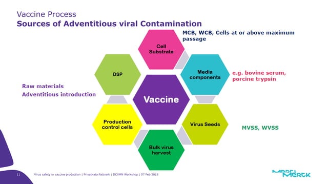 Virus Safety in Vaccine Production | PPT