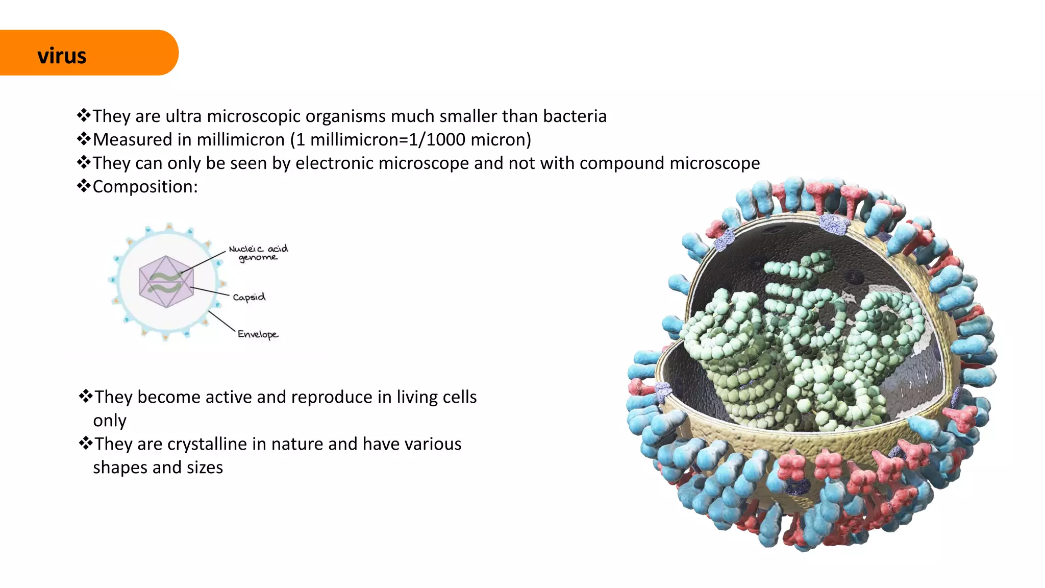 Virus, smallpox, polio, influenza | PPT