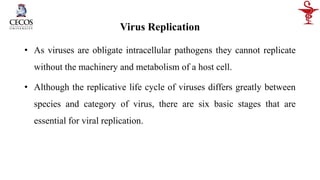 Virus Structure.pptx