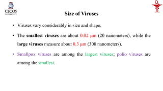 Virus Structure.pptx