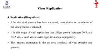 Virus Structure.pptx