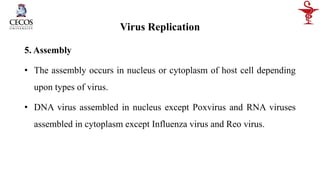 Virus Structure.pptx