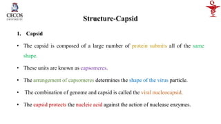 Virus Structure.pptx