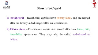 Virus Structure.pptx