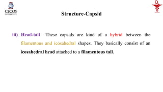 Virus Structure.pptx