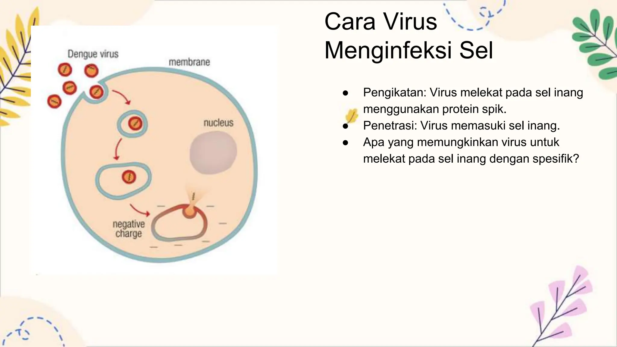 STRUKTUR TUBUH VIRUS DAN FUNGSINYA..pptx