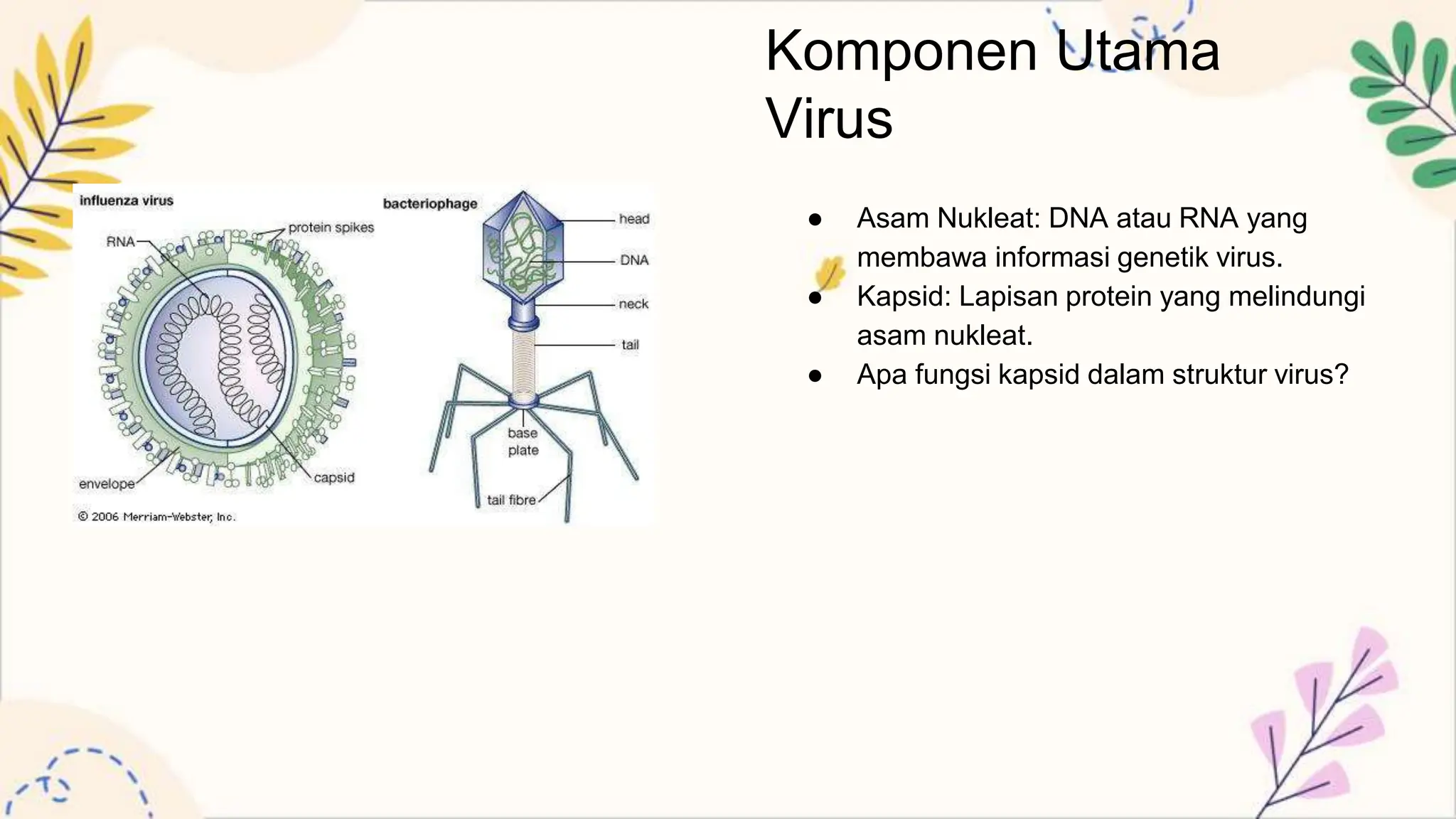 STRUKTUR TUBUH VIRUS DAN FUNGSINYA..pptx