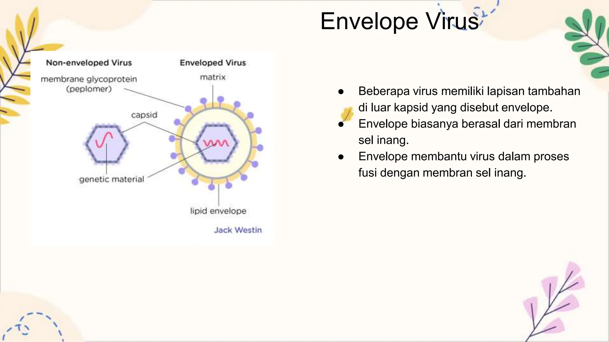 STRUKTUR TUBUH VIRUS DAN FUNGSINYA..pptx