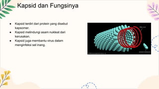 STRUKTUR TUBUH VIRUS DAN FUNGSINYA..pptx