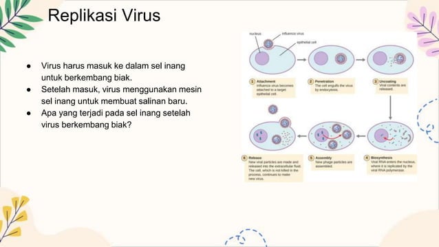 STRUKTUR TUBUH VIRUS DAN FUNGSINYA..pptx