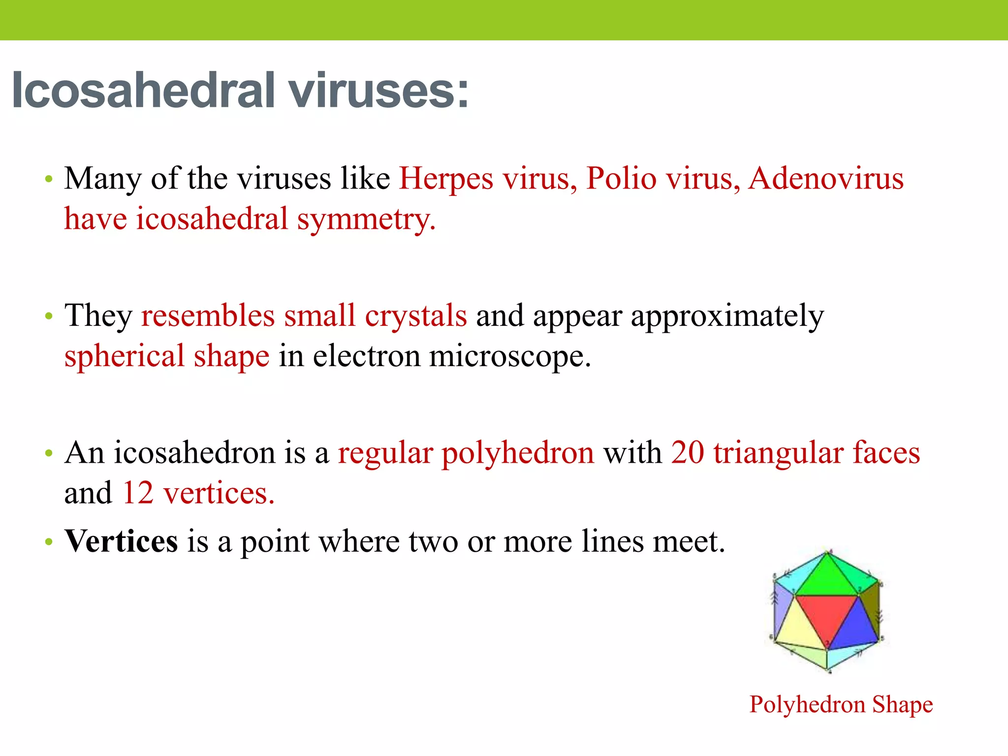 Virus structure and classification | PPTX