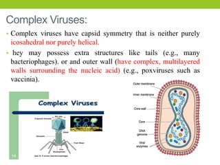 Virus structure and classification | PPT