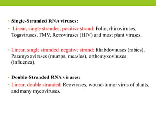 Virus structure and classification | PPT