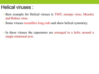 Virus structure and classification | PPT
